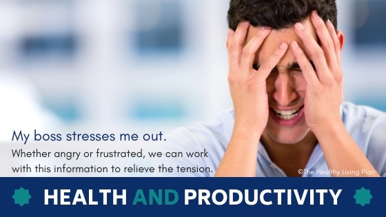 How to achieve health and productivity. - The Healthy Living Plan