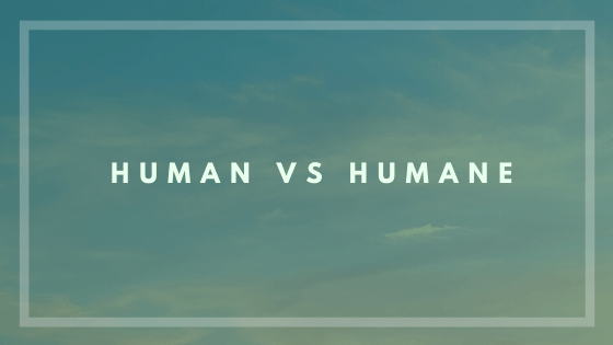 Human vs Humane - The Healthy Living Plan - Cathy Caswell