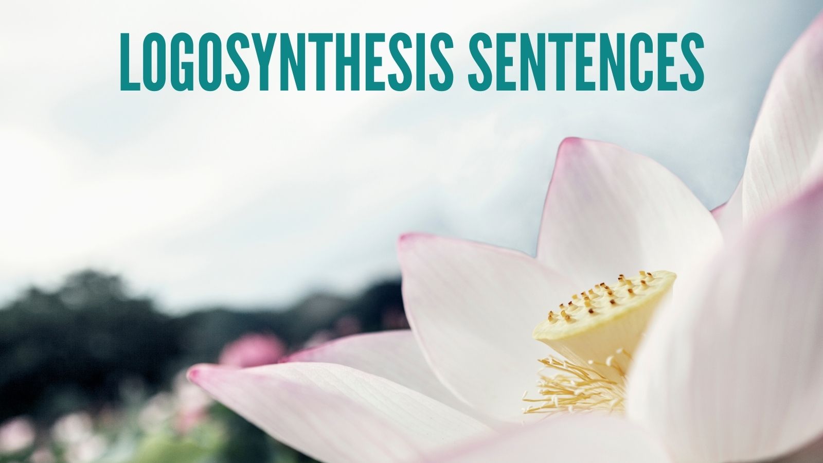 What are the Logosynthesis sentences - The Healthy Living Plan